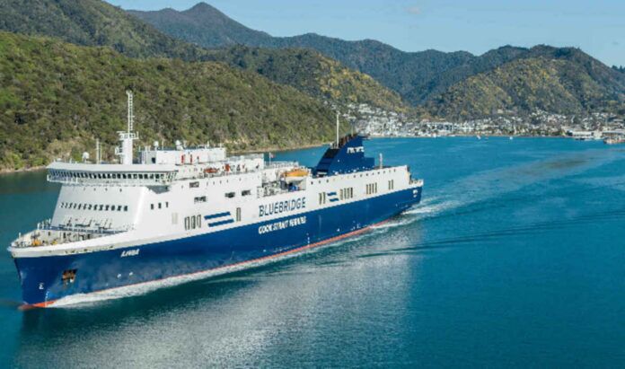 Passenger pulled from sea after Bluebridge ferry incident - Daily ...