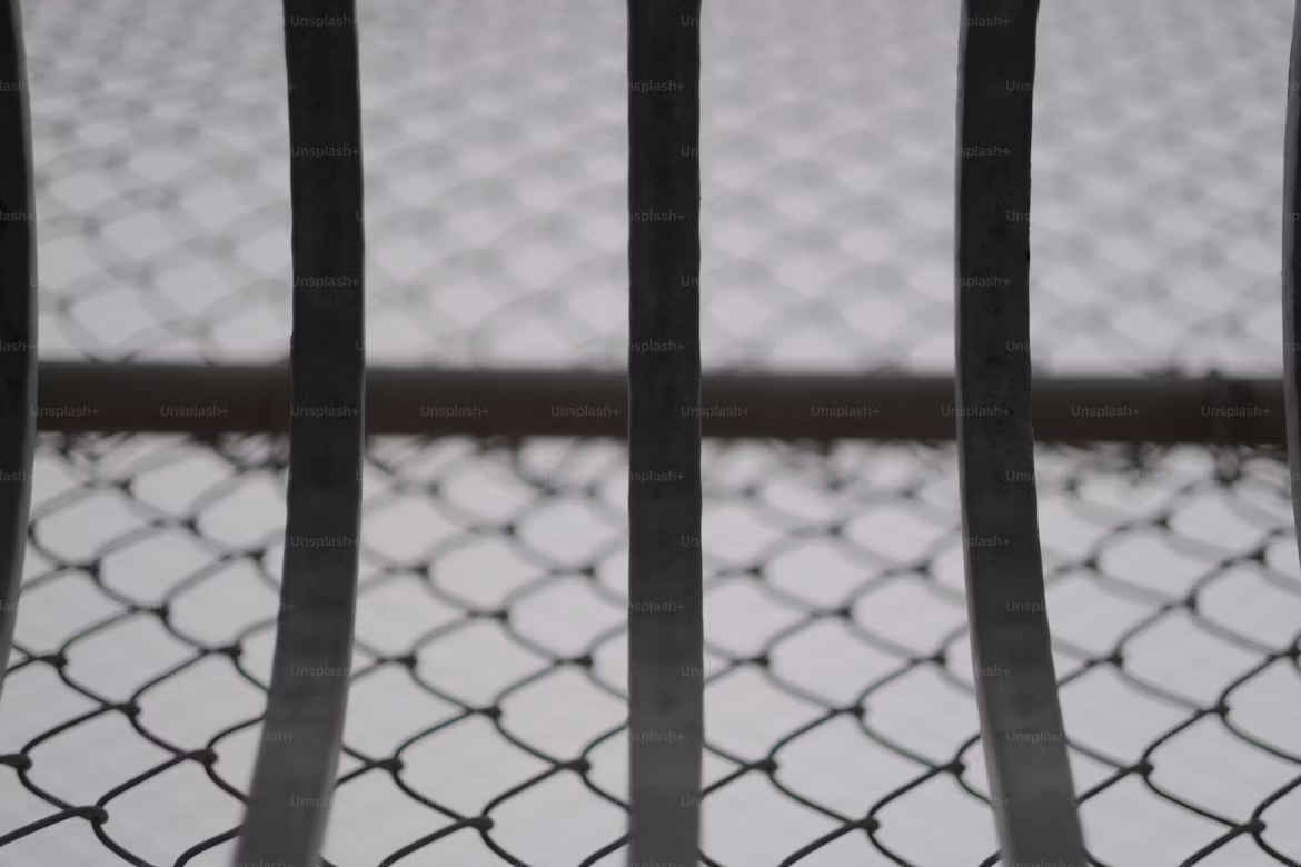 Death in Police custody, Tauranga - Daily Telegraph NZ