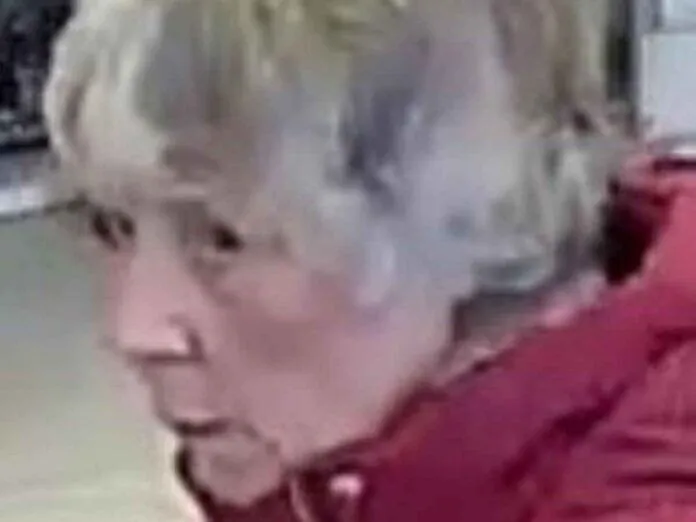 Search continues for missing 81-year-old Christchurch woman - Daily ...