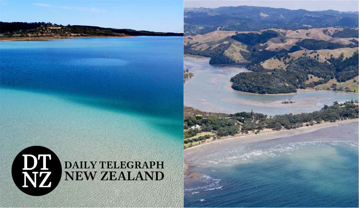 Multiple water-related incidents as temperatures soar - Daily Telegraph NZ