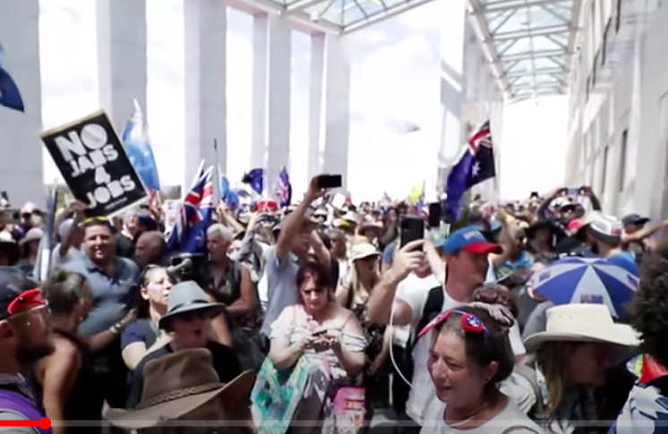 Watch: Aussie trucker freedom convoy 2022 update - Daily Telegraph NZ