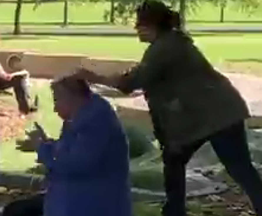 Watch: Aussie politician gets egged on the noggin - Daily Telegraph NZ