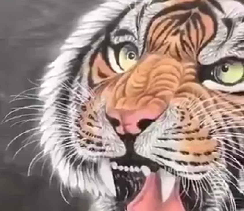 Watch: Video of incredible mural painting goes viral - Daily Telegraph NZ