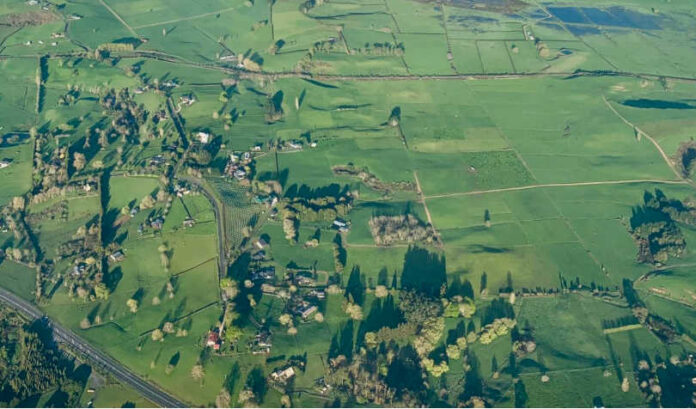 Farm sales slump - Fed Farmers - Daily Telegraph NZ