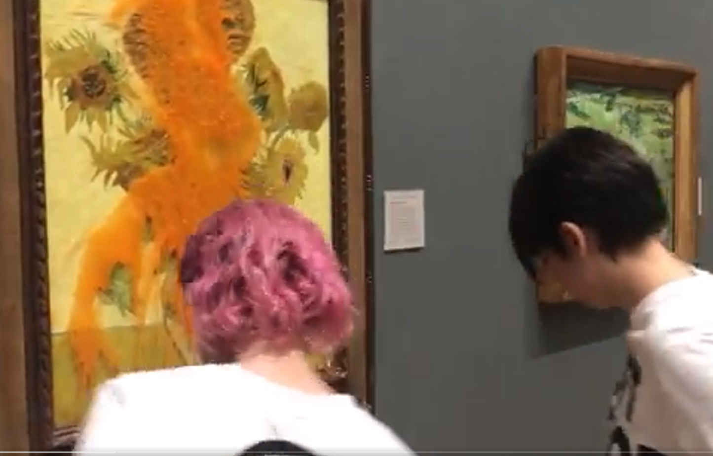 Watch: Van Gogh masterpiece attacked with soup - Daily Telegraph NZ