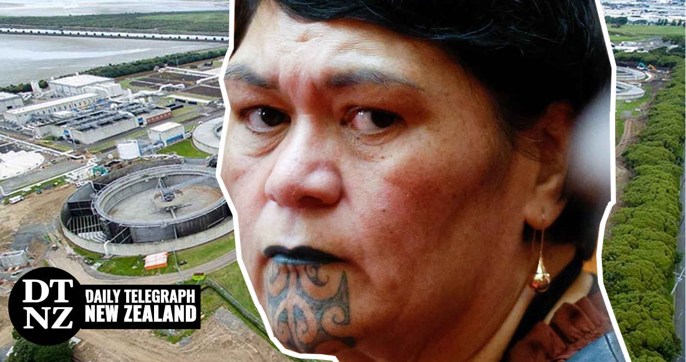 Mahuta introduces 130 pages of Three Waters changes just hours after ...