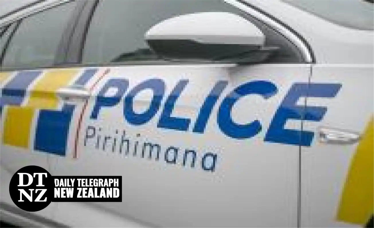Police investigating after woman shot with BB-gun in Upper Hutt - Daily ...