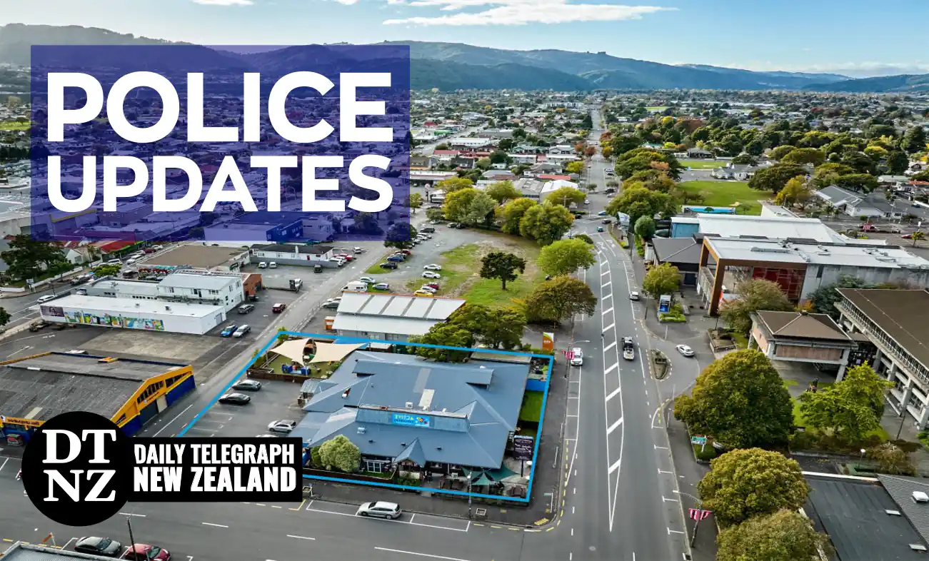 Police updates - missing Upper Hutt children, missing West Auckland ...