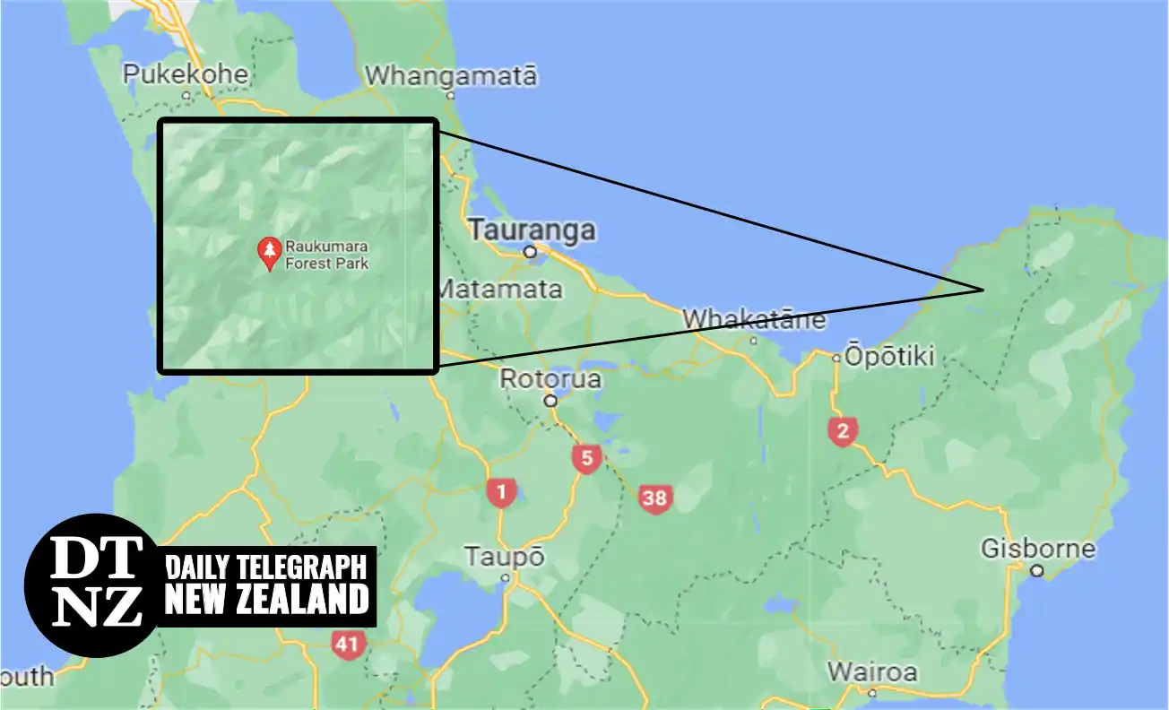 Missing hunters located safe and well - Daily Telegraph NZ