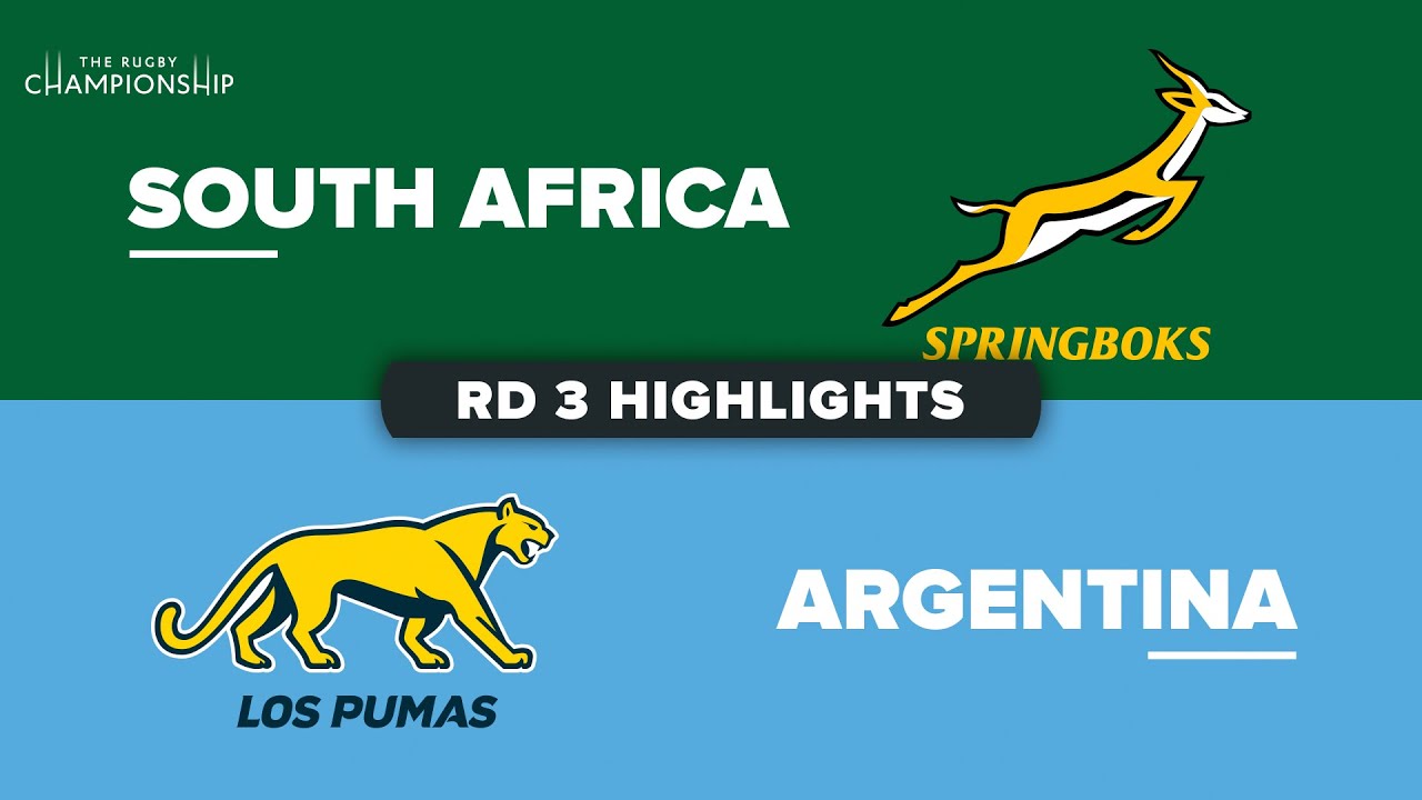 Watch: Springboks 22 - 21 Los Pumas - Daily Telegraph NZ