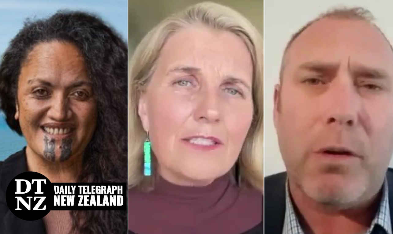 Meet NZ Loyal's Deputy Leader Logan Courtney, Janita Andrews to stand ...