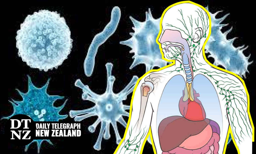 The Dramatic degradation of the human immune system - Daily Telegraph NZ