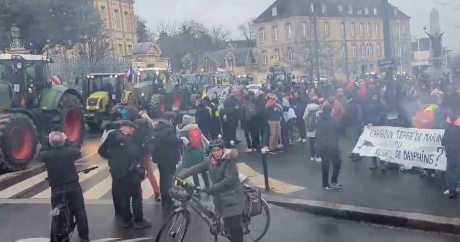 French fury: Farmers sowing seeds of revolution against elites in Paris ...