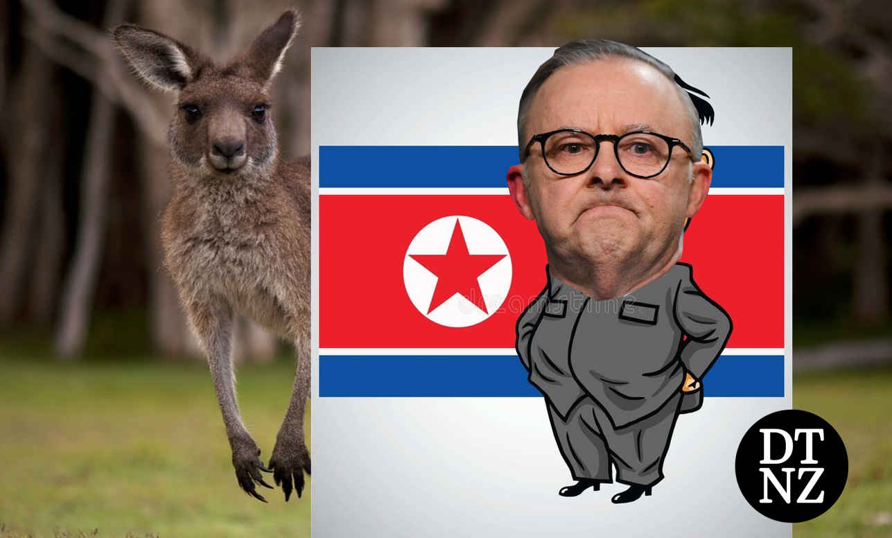 Albanese wants to ban memes of himself - Daily Telegraph NZ