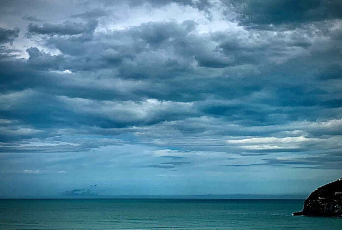 Erasing an orchestrated litany of lies - Daily Telegraph NZ