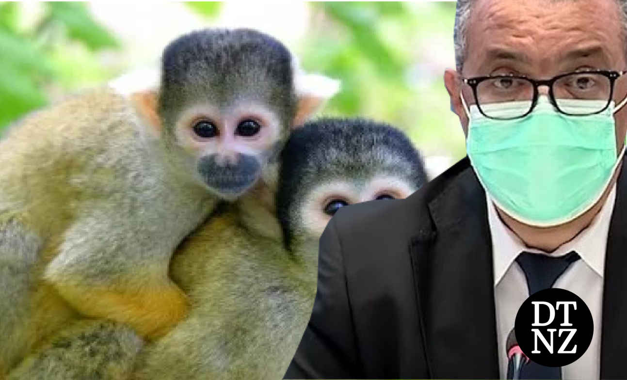 Monkeypox 'surge' in Africa: WHO convenes emergency meeting - Daily ...