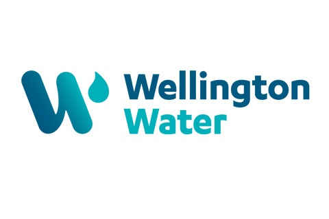 Wellington Water CEO Tonia Haskell resigns following independent report ...