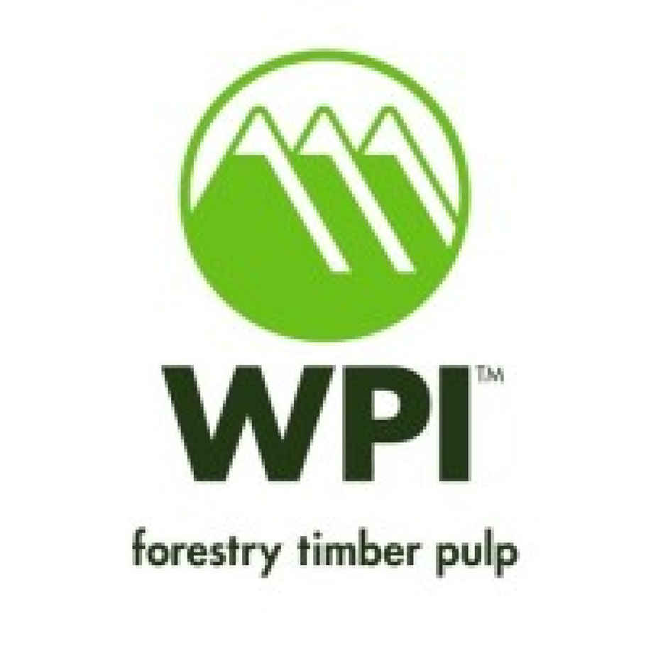 Petition launched to save Winstone pulp mill as communities fear ...