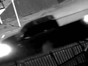 Police urge witness to come forward in Grey Lynn homicide investigation ...