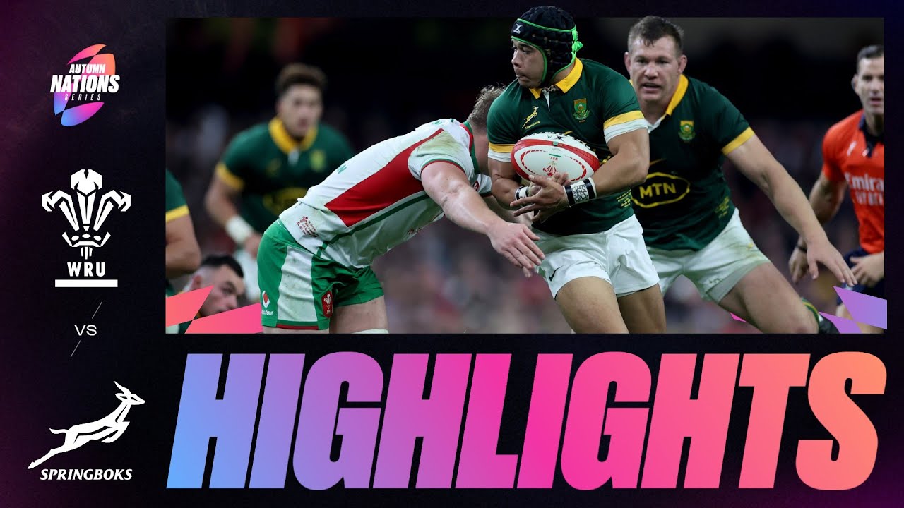 Springboks dominate as Wales suffer 12th consecutive loss - Daily ...