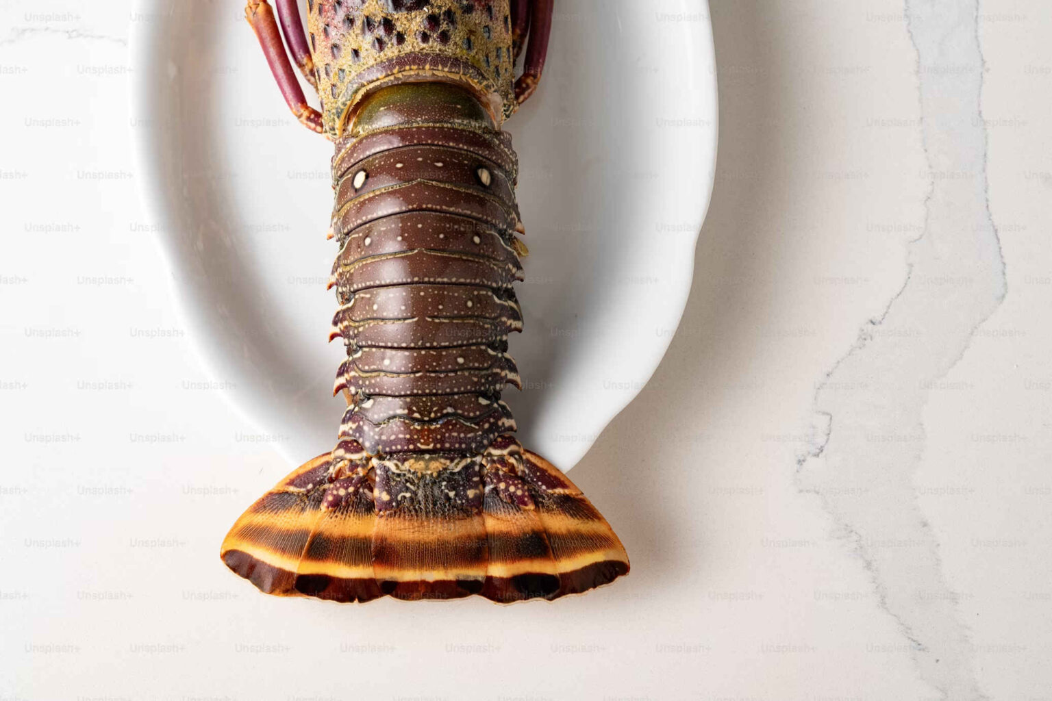 Gang pad restrained following crayfish crime ring - Daily Telegraph NZ