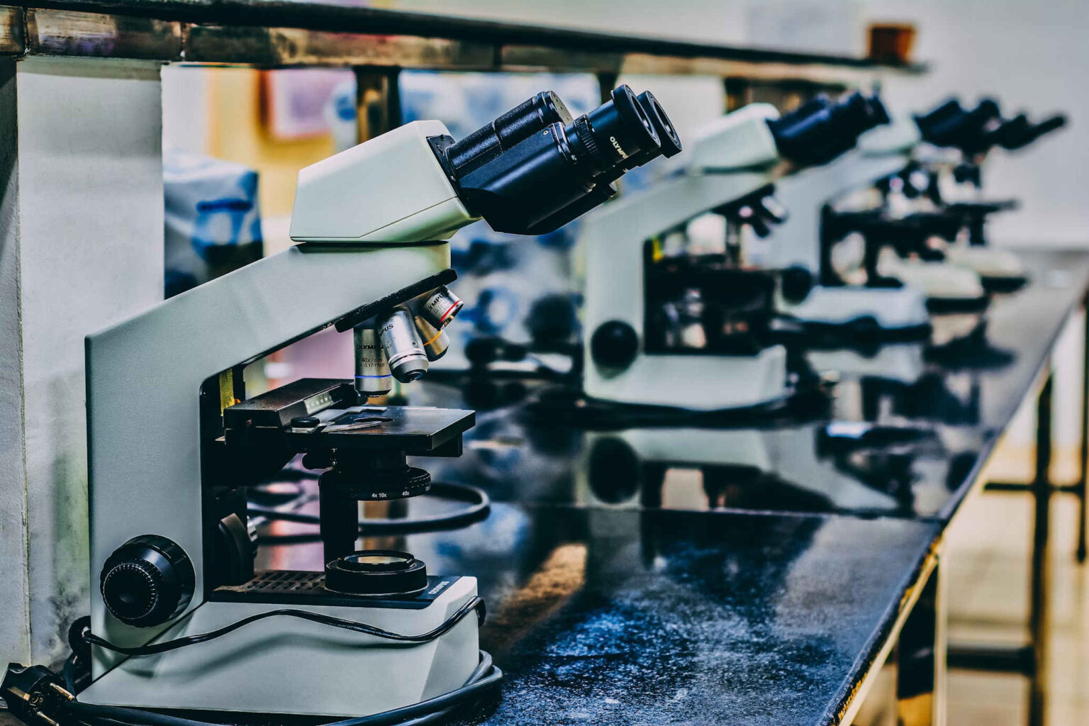 Queensland lab loses 'deadly virus' samples in major biosecurity breach ...