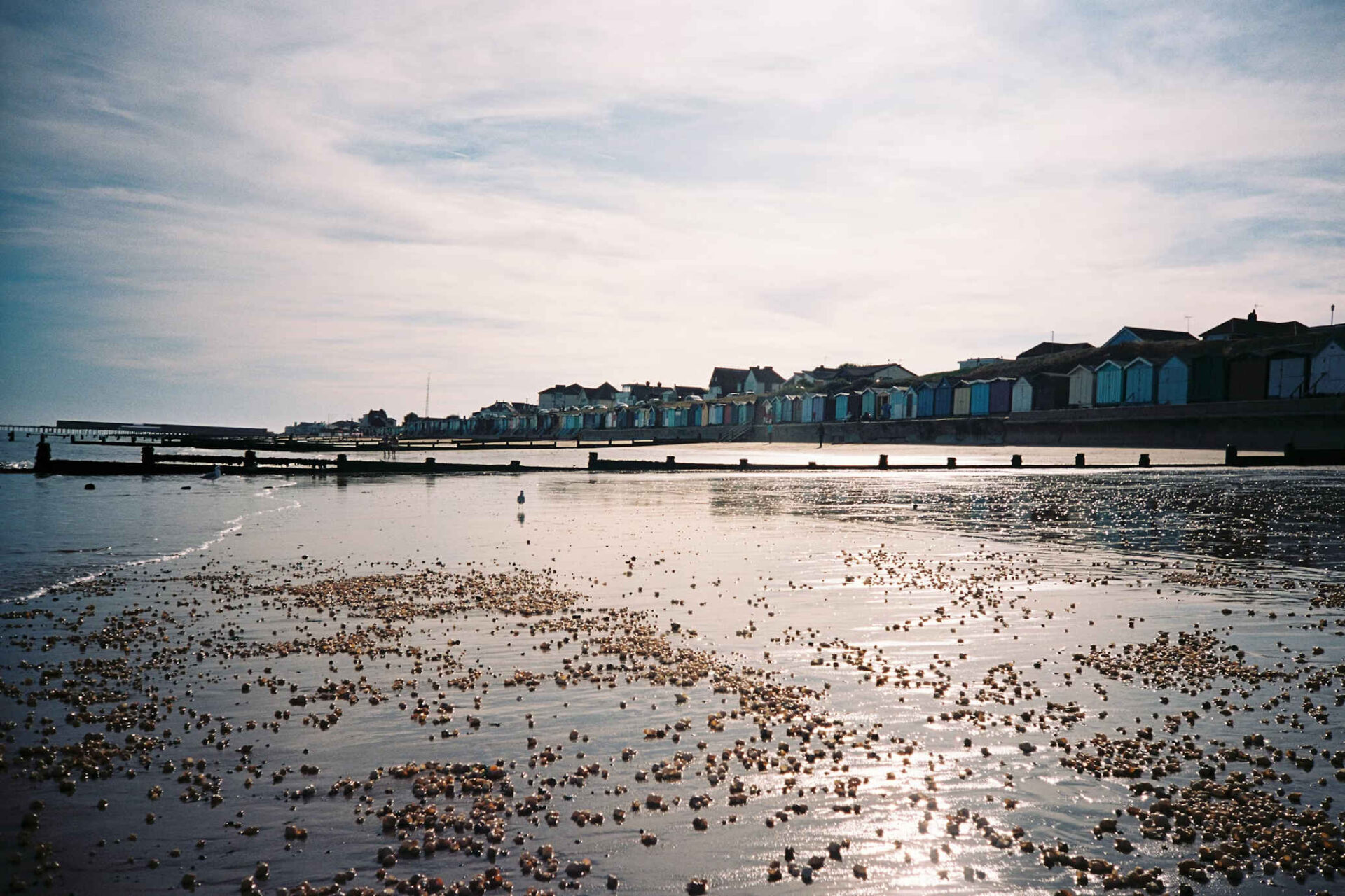 The progressive authoritarian tide retreats - Daily Telegraph NZ