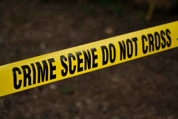 Man charged with murder after arriving at Manukau Police Station with ...