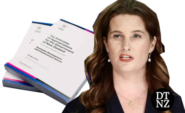 Budget 2025 - full text of Willis' speech - Daily Telegraph NZ