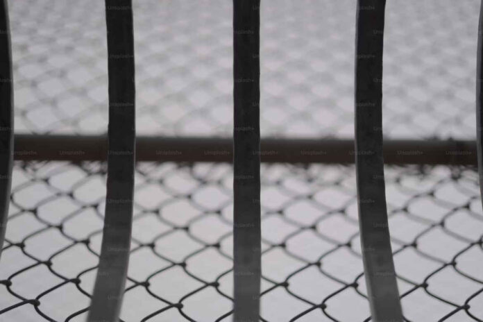 Christchurch man jailed after alcohol-fuelled assault rampage injures ...