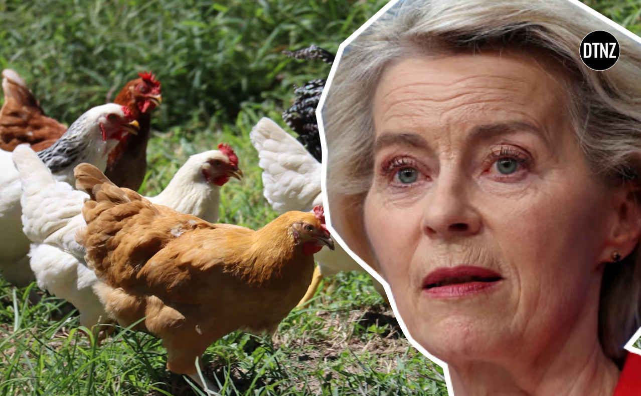 Brussels bureaucrats 'running like panicked chickens' - Hungarian PM ...