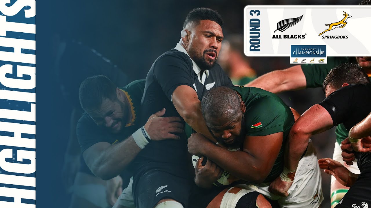 All Blacks beat Springboks 24-17 - Daily Telegraph NZ