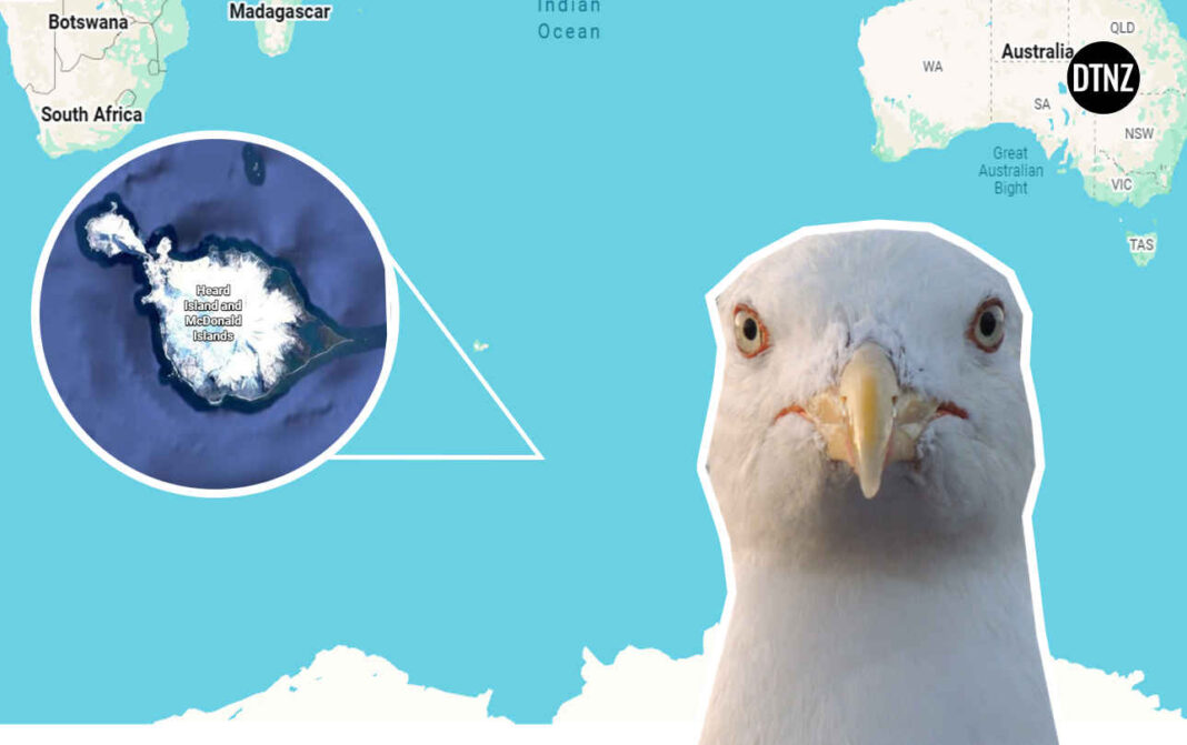 'Deadly bird flu strain' discovered on sub-Antarctic island - Daily ...