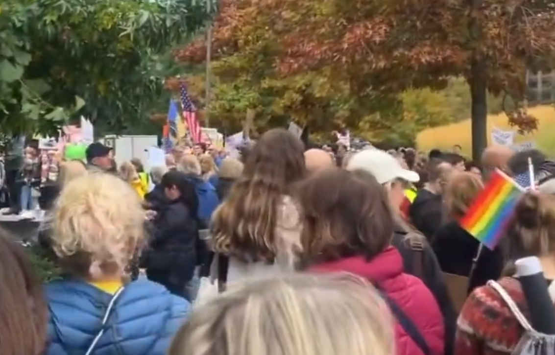 Mass ‘No Kings’ Rallies Sweep Across U.S. - Daily Telegraph NZ