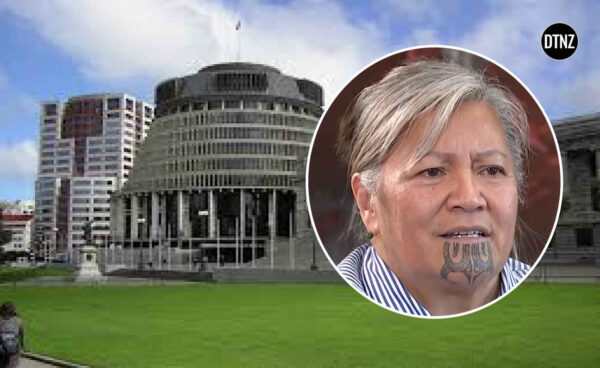 Te Pāti Māori MP warned over $133k budget overspend amid internal rift ...
