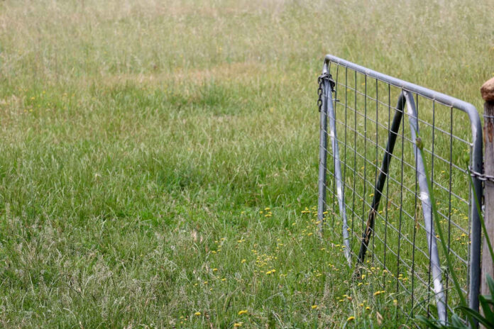 WorkSafe planning one thousand farm inspections before the end of the ...