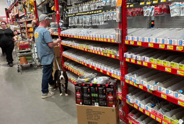 Australians split over dogs in Bunnings - Daily Telegraph NZ