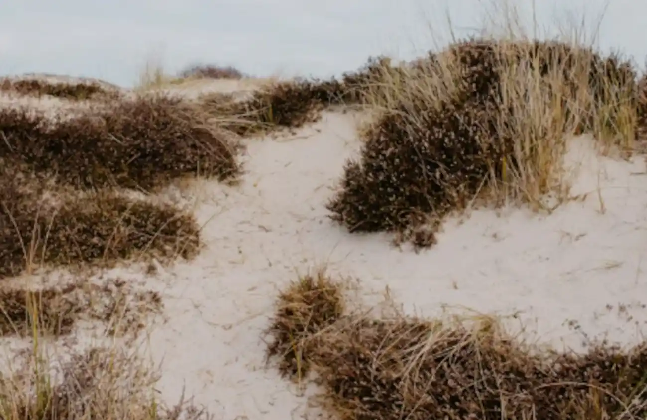 Coroner warns public of dune dangers - Daily Telegraph NZ