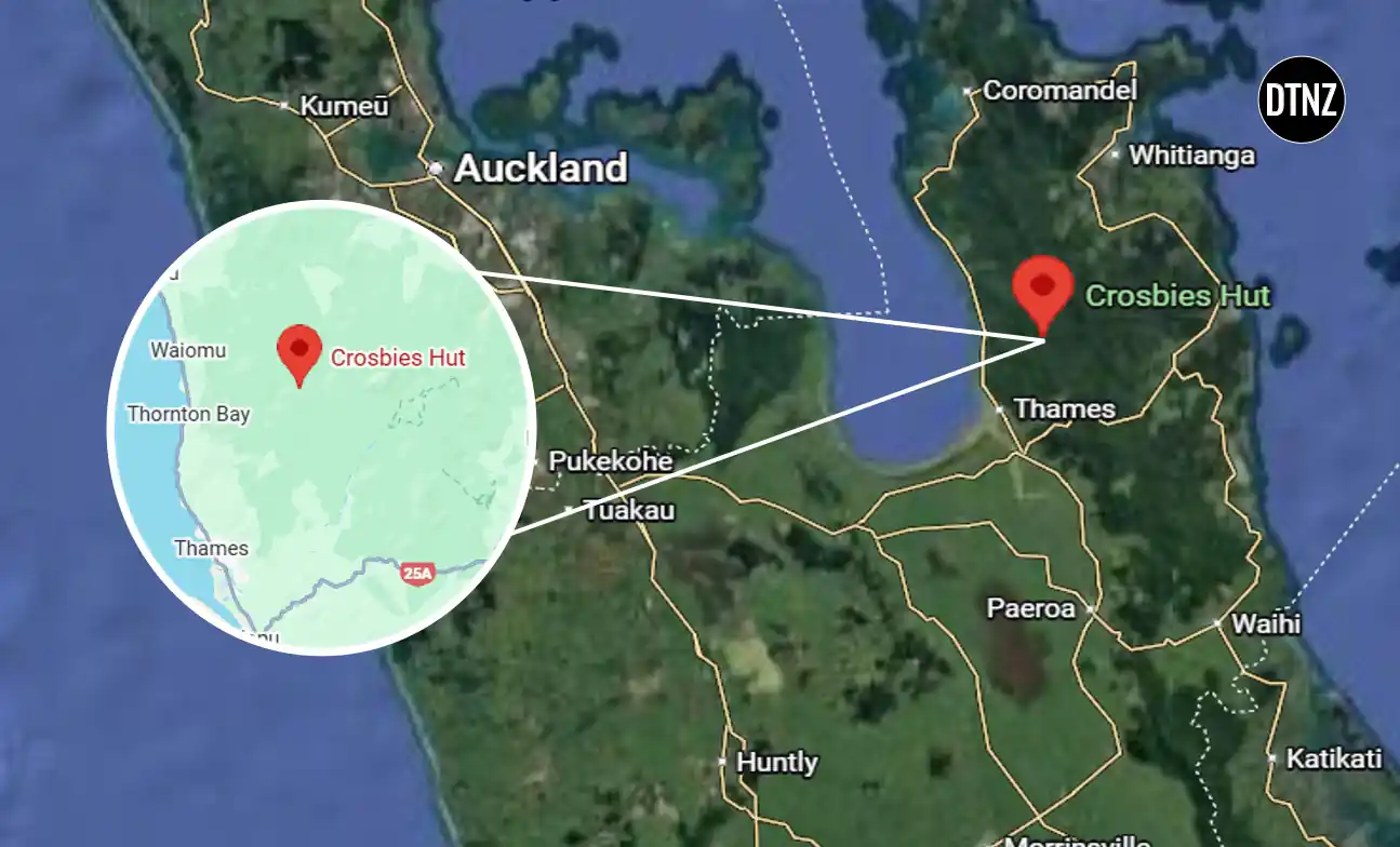 Elderly man saved by family while tramping in Coromandel - Daily ...