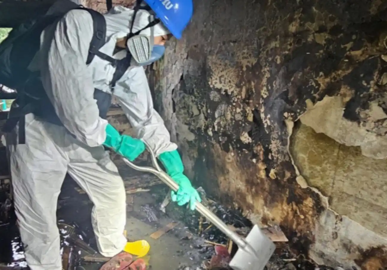 Hong Kong fire: Contractor misled residents on safety record before ...