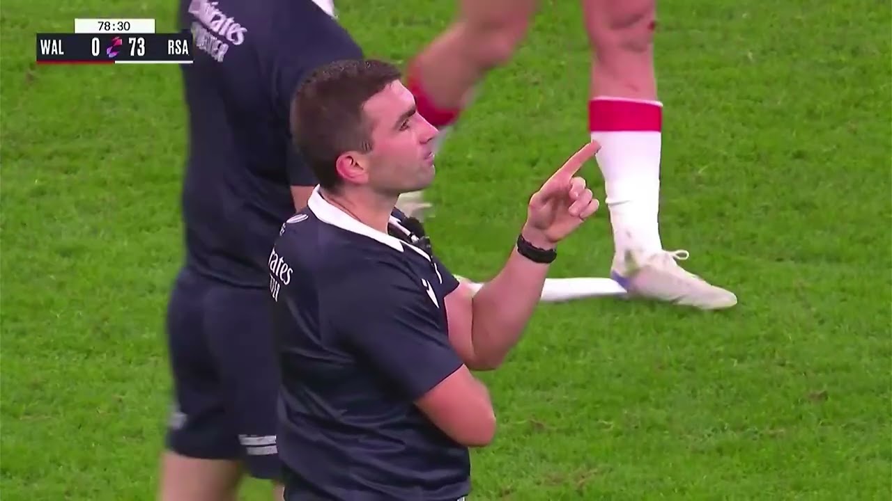 Etzebeth banned 12 weeks over eye gouge in Wales test - Daily Telegraph NZ
