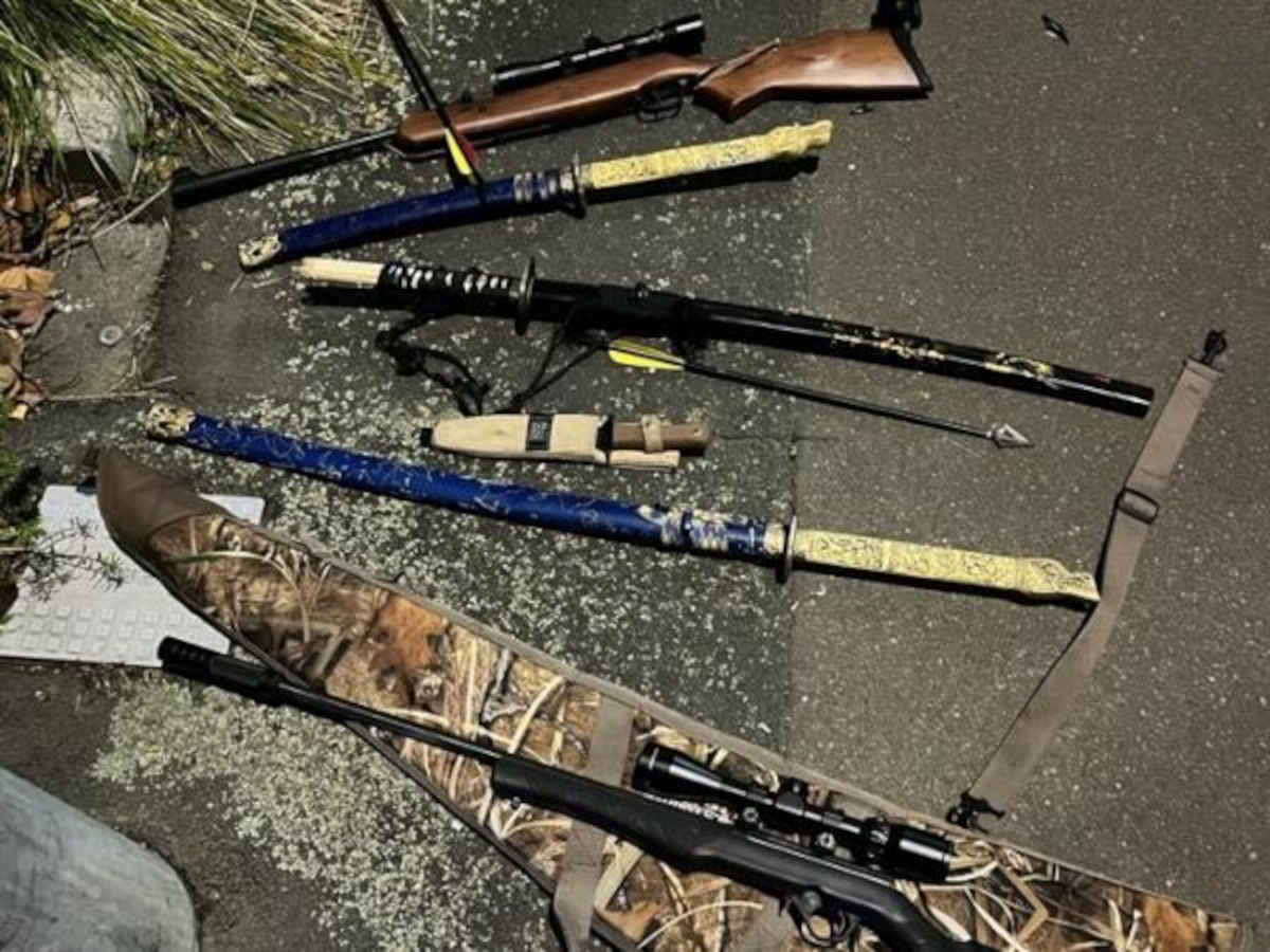 Automatic crash alert leads police to weapons cache - Daily Telegraph NZ