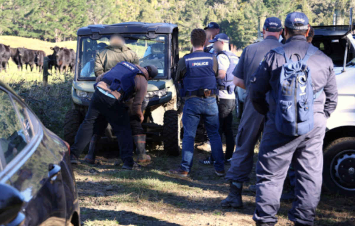 Operation Phoenix: Police descend on meth operation hidden in Far North ...