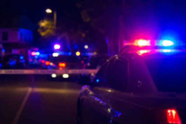 Two arrested after fiery Hastings pursuit ends with police cars rammed ...